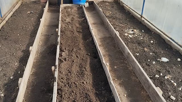 Обзор теплицы и участка в марте 2024 г. Посев руколы и редиса.