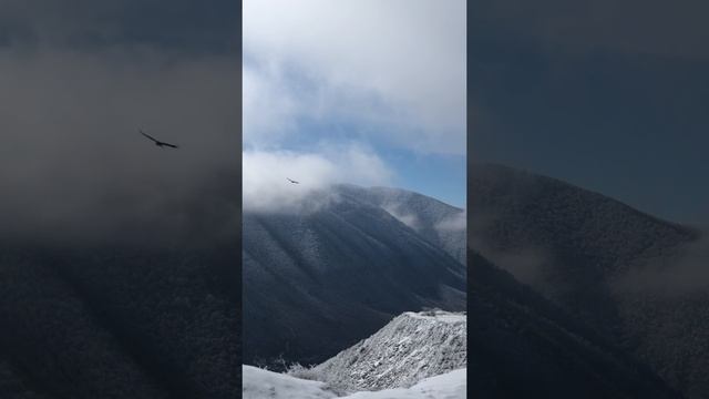 Притча с моралью в конце. Мотивация. Перемены в Жизни.