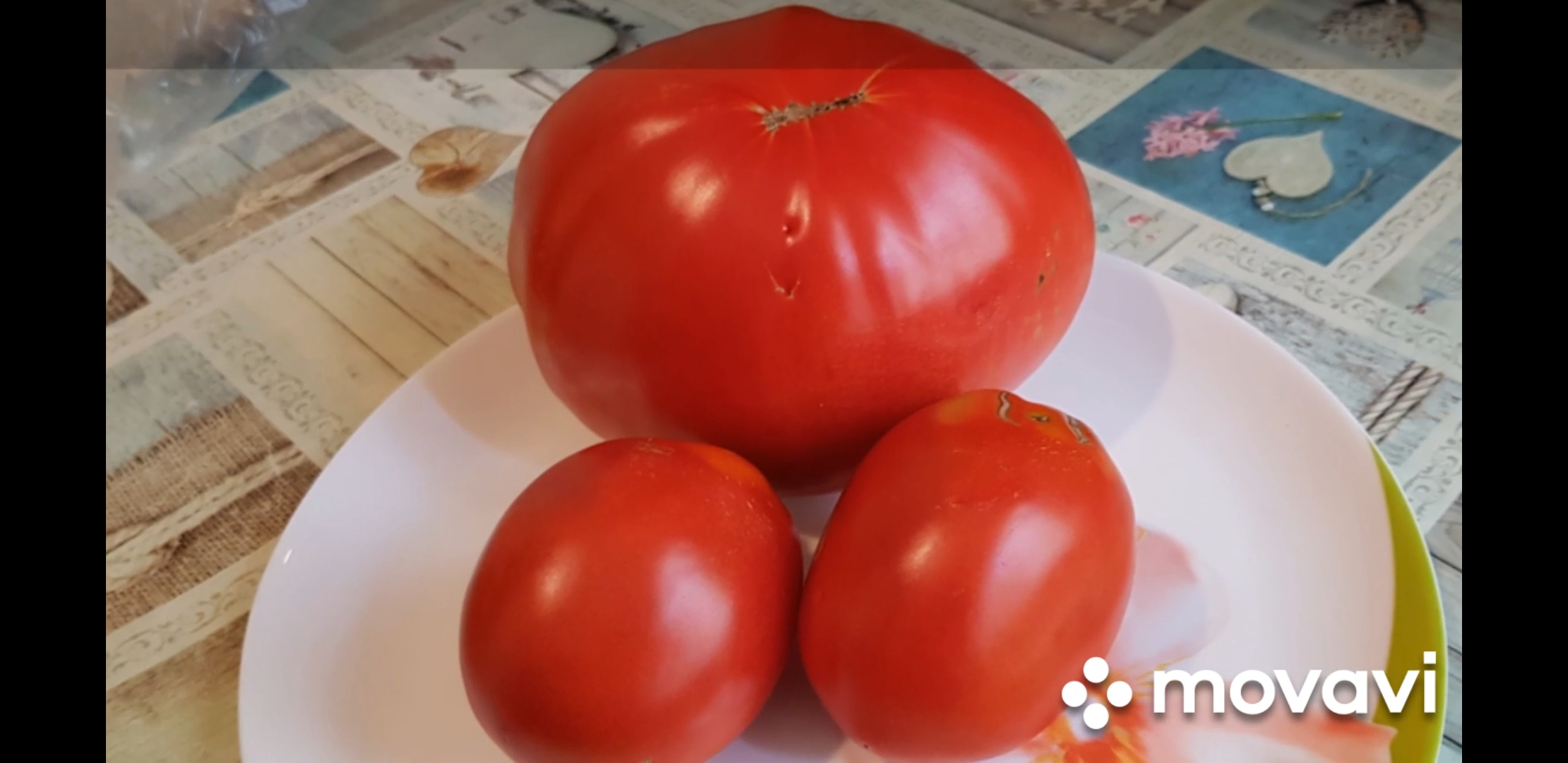 Как собрать семена помидора.