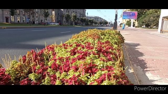 Прогулка по Московскому проспекту в Санкт-Петербурге.