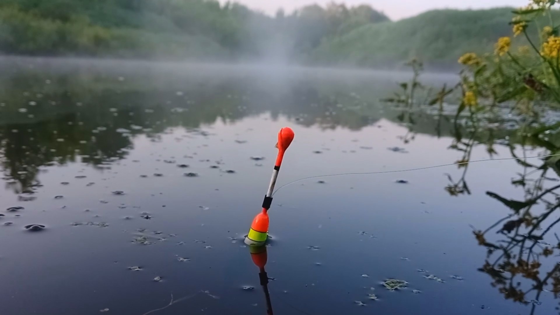 КРУПНЫЕ КАРАСИ В ПЕРЕСЫХАЮЩЕЙ ЛУЖЕ! Рыбалка на поплавок