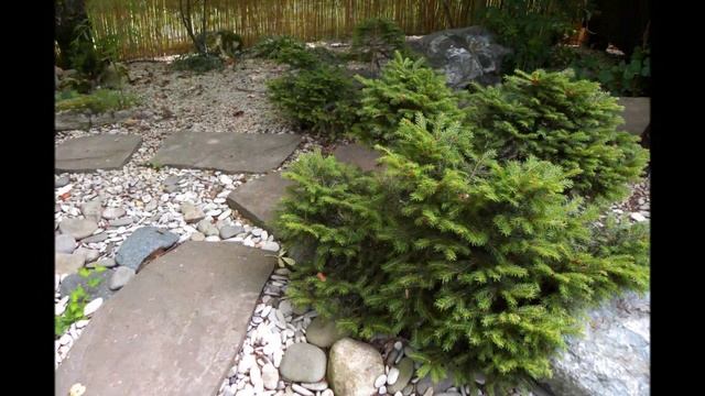 Прогулка по саду Наталии Жуковой, часть 3