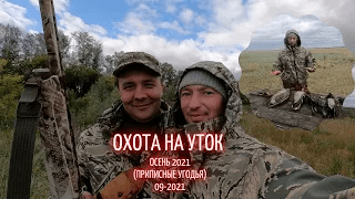 Охота на уток- Осень 2021 (приписные угодья)