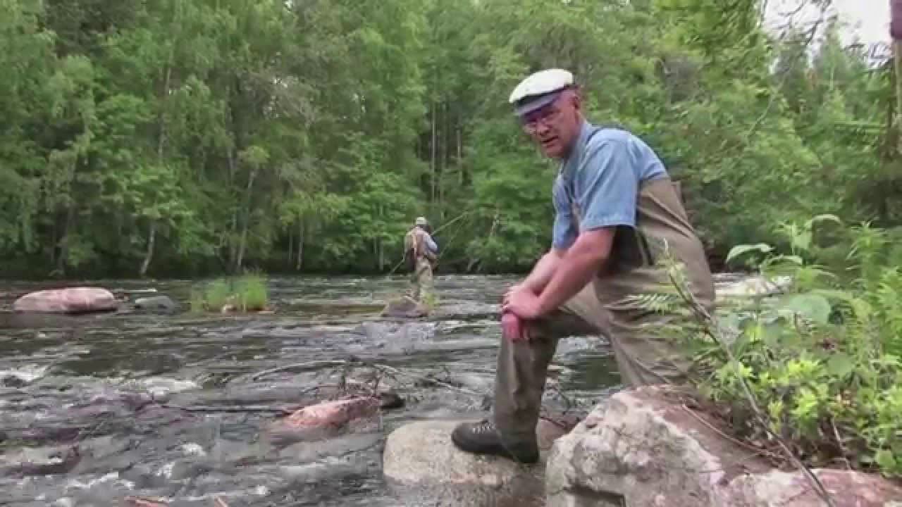 Гусев! Большие рыбы малых рек!