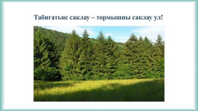 Әдәбият 11_09