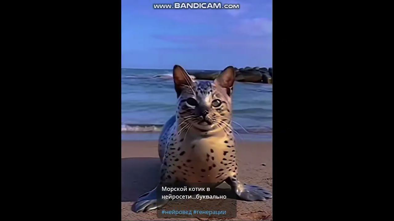 Как должен был выглядить морской котик изначально