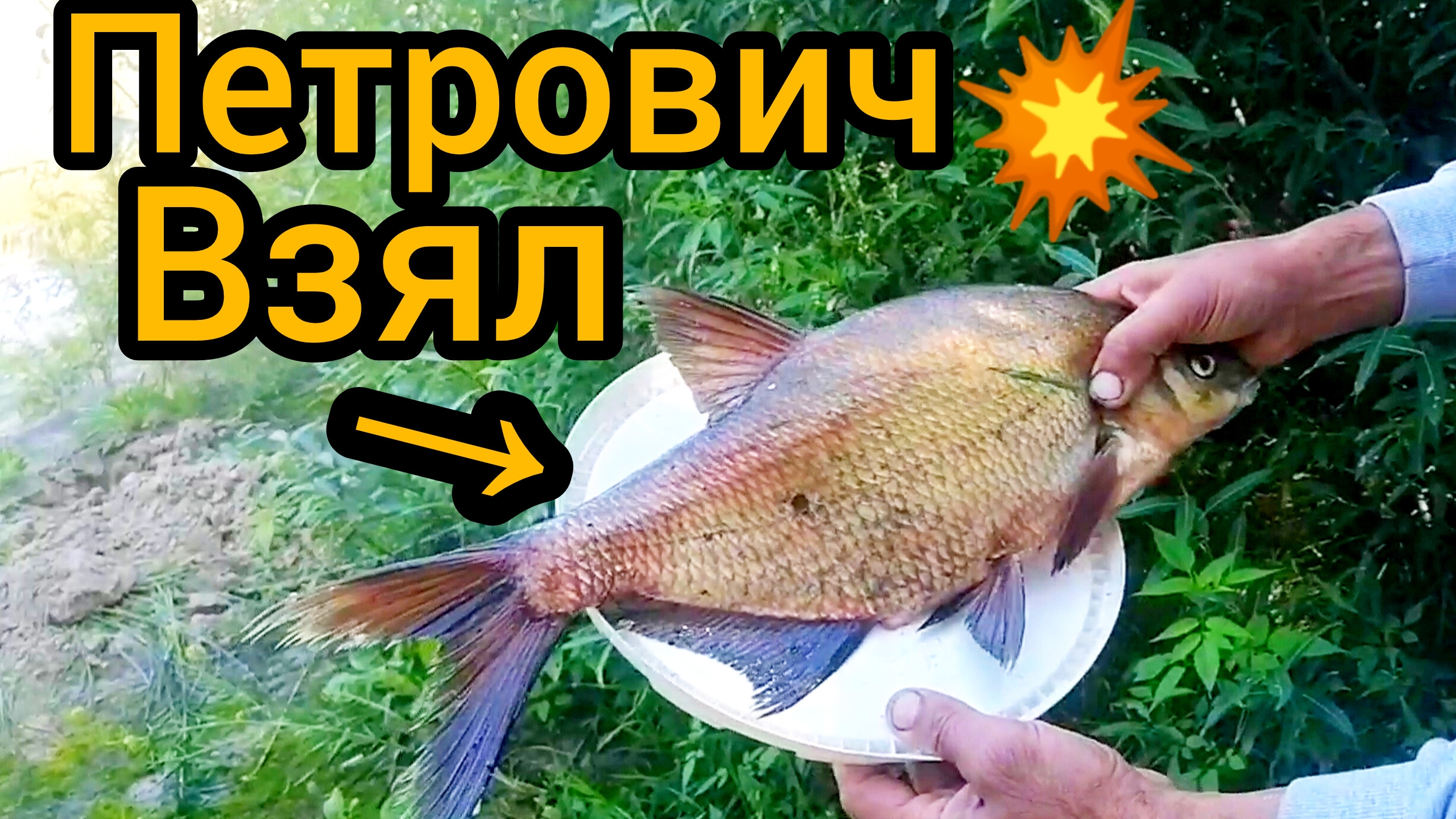 Рыбалка на реке Десна