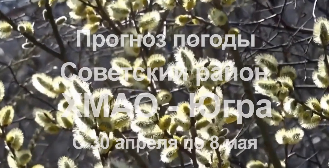 Прогноз погоды с 30.04 по 8 мая 2022 год
