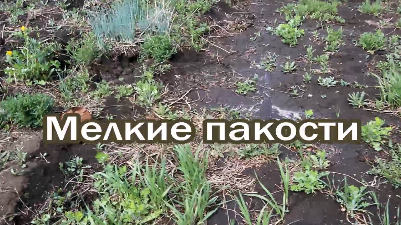мелкие пакости.mp4