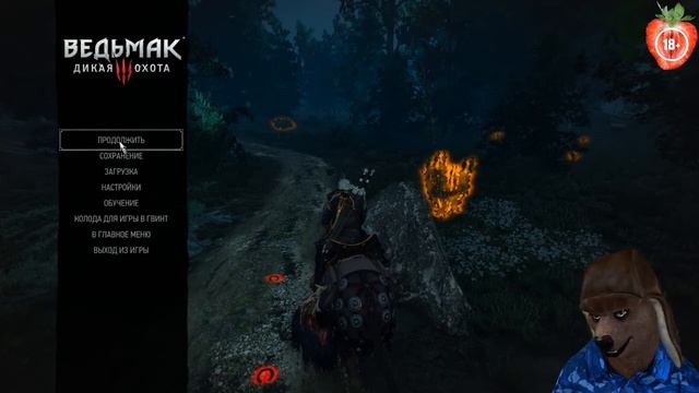 Ведьмак 3: Дикая Охота прохождение punishment for spam / наказание за спам