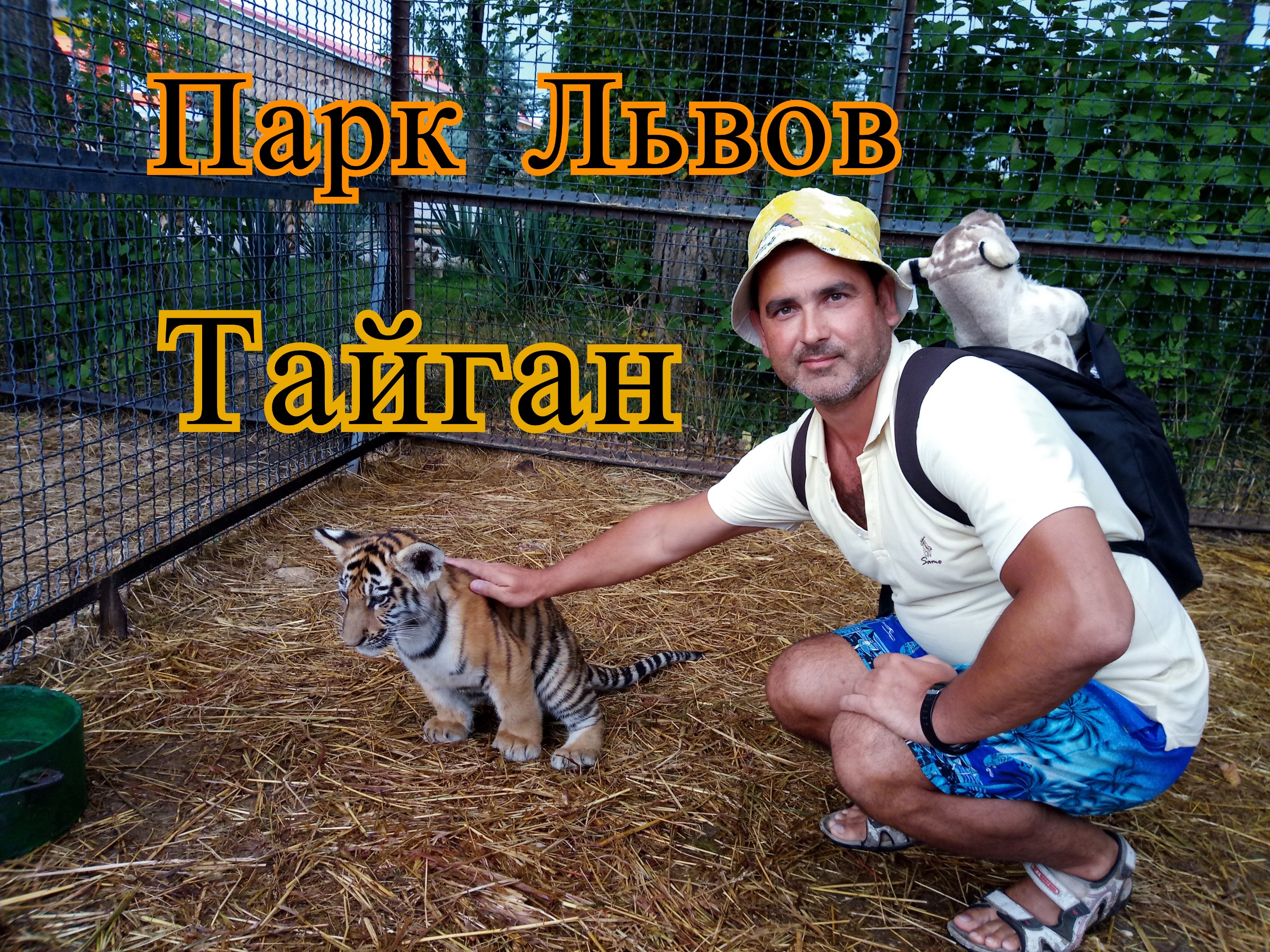 Парк львов Тайган. Достопримечательность Крыма.