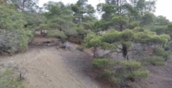 Новый Свет в сторону Судака.avi