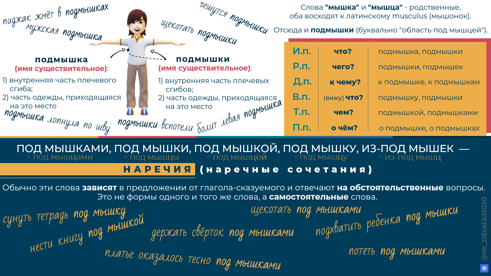 «Из-под мышек» или «из-под подмышек»? Как правильно?