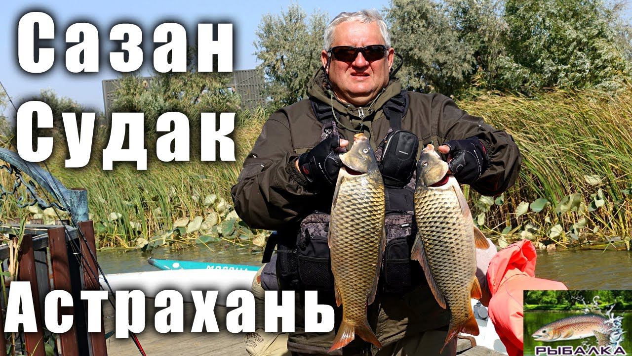 Сазан. Судак. Рыбалка Астрахань 2020.