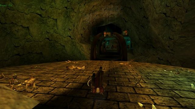Gothic 2 Братство-Путь Спящего.Часть 65.Храм Спящего.Новая мантия.Начало Испытания Веры в Храме.