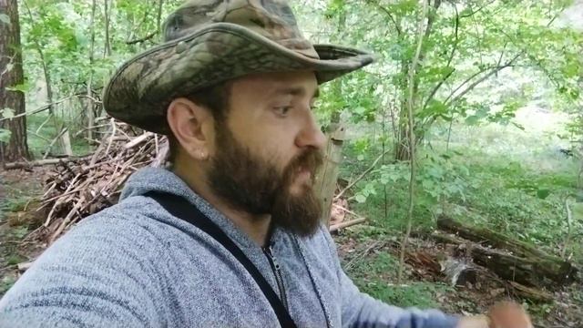 Срезать или выкручивать грибы. Какой способ самый правильный