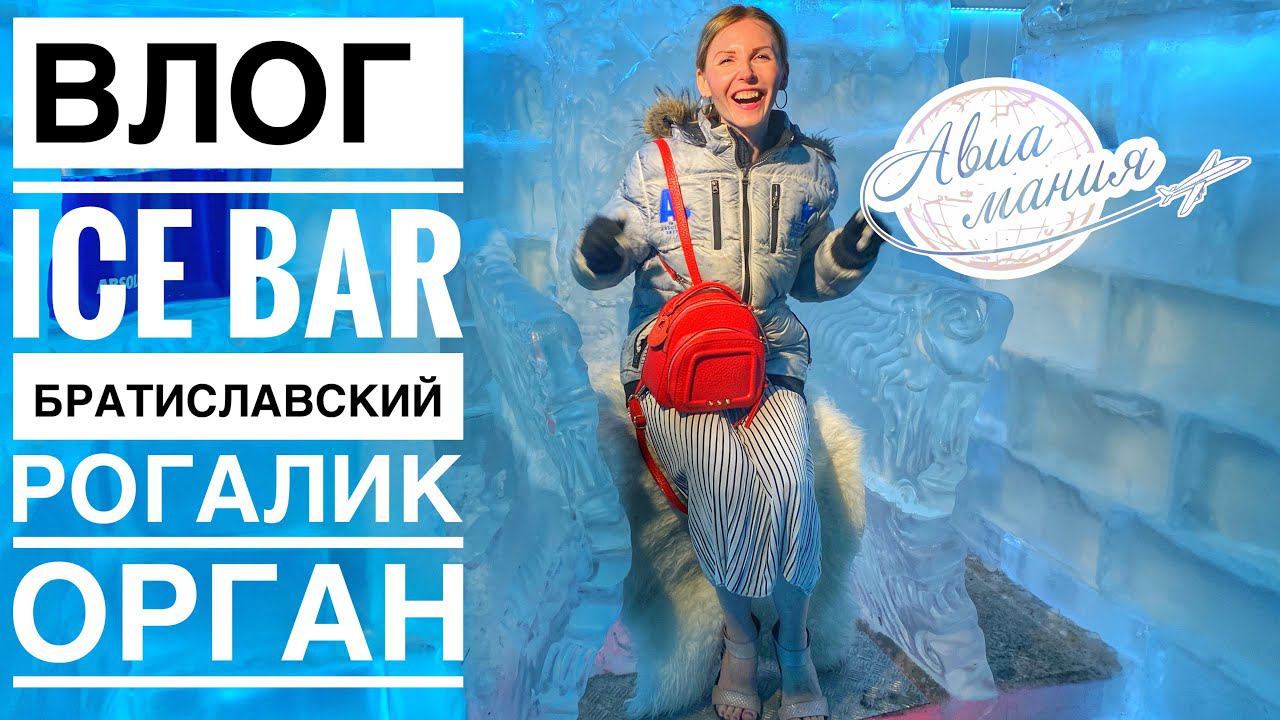 Влог из Братиславы | Словакия, до новых встреч |#Авиамания