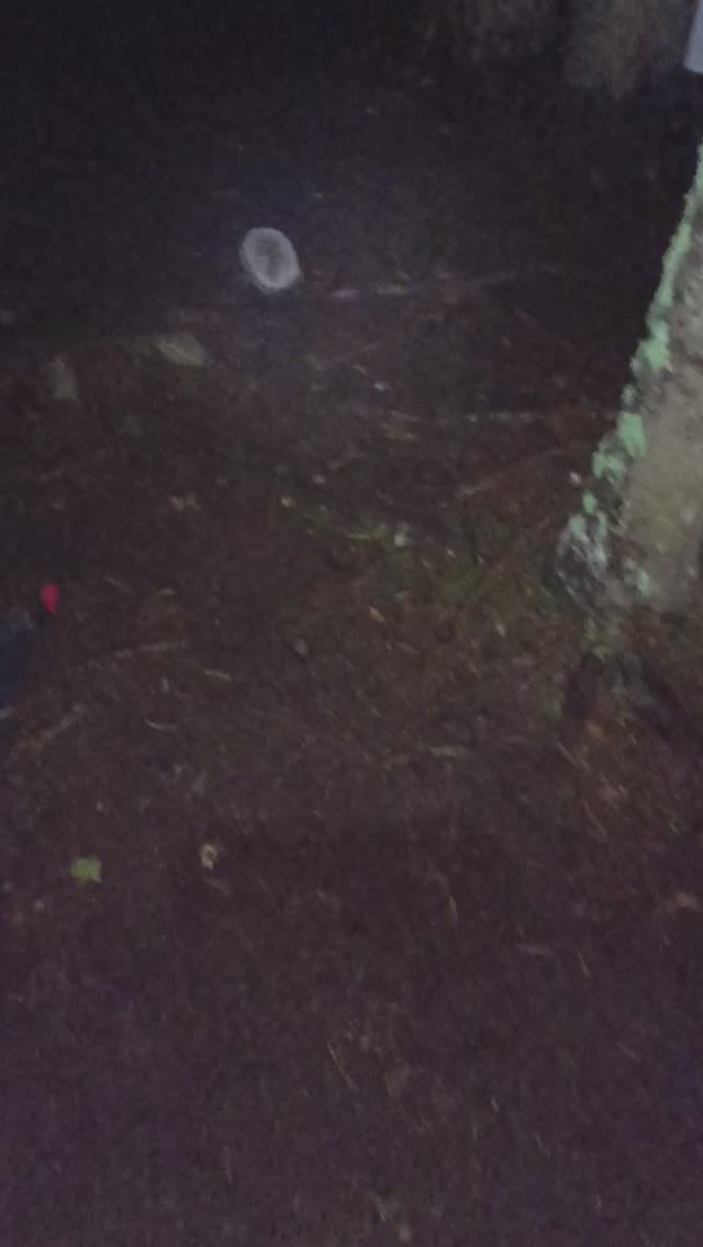 Погоня за воришкой