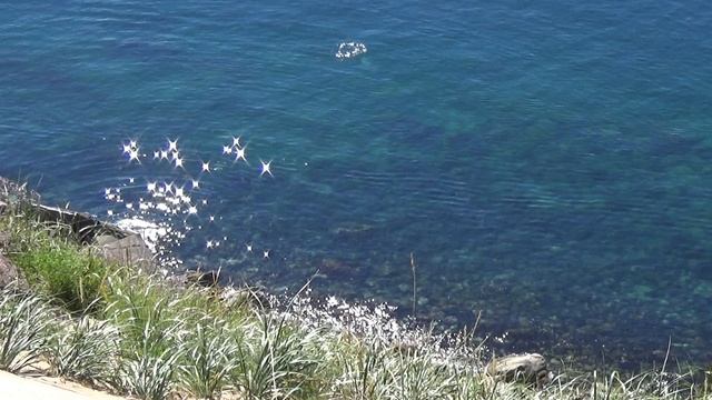 бухта Шепалово/Японское море/Приморский кр/(сентябрь 2022г)