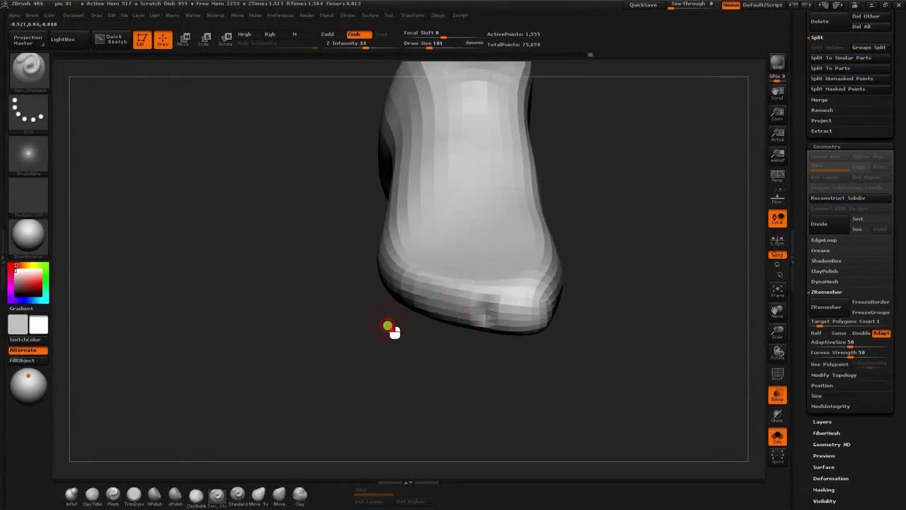 Anat Vol 03 04  Foot Base part 1 4