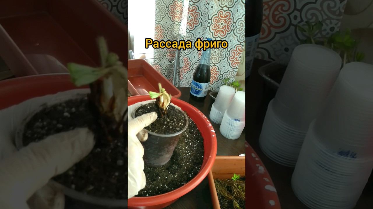 Урок 25. Обязательно обратите внимание на это после посадки!