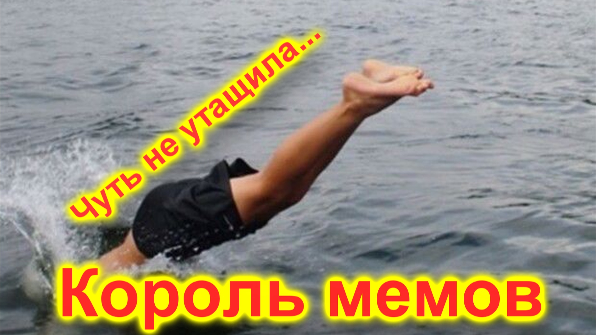 ПРИКОЛЫ НА РЫБАЛКЕ-чуть не утащила/КОРОЛЬ МЕМОВ