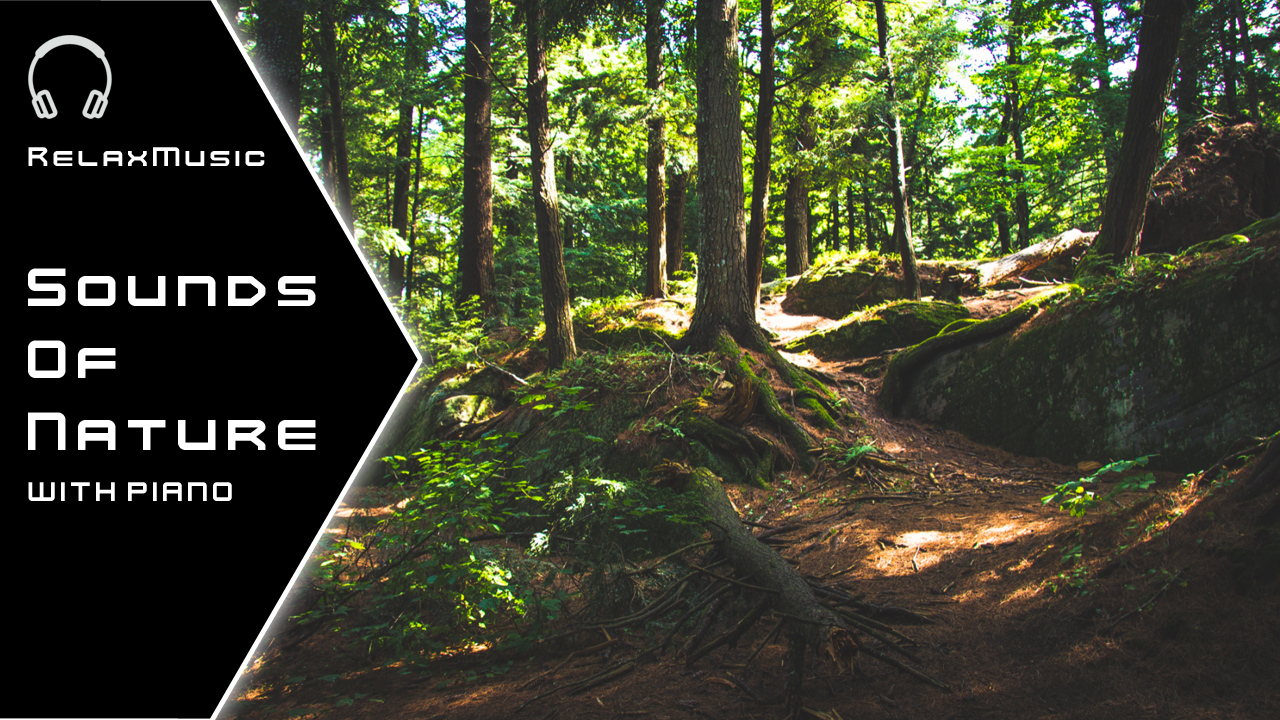Звуки природы | Пианино | 1 час  музыка для сна отдыха медитации релаксации
