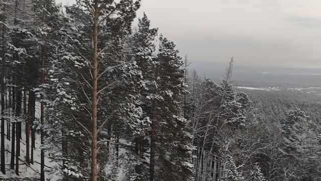 Без названия