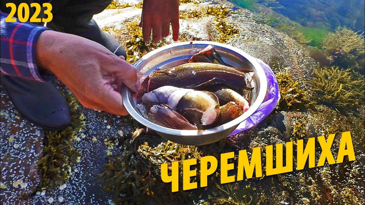 #14 Треска на острове Черемшиха | Поиск места для стоянки | Поход 2023