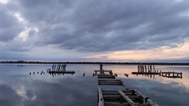 Бакланы на озере...