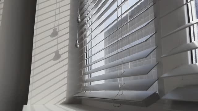 Деревянные жалюзи в офис | ЖАЛЮЗИНСК