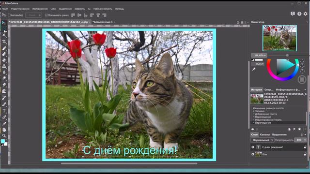 1.1. Особенности применения графического редактора AliveColors