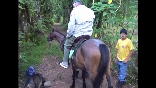 "Рыбалка на островах слоновых черепах". Видеоприложение №26 часть 1 к журналу «Сафари»