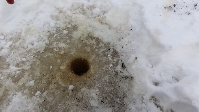 Клев рыбы в глухозимье. А есть ли клев