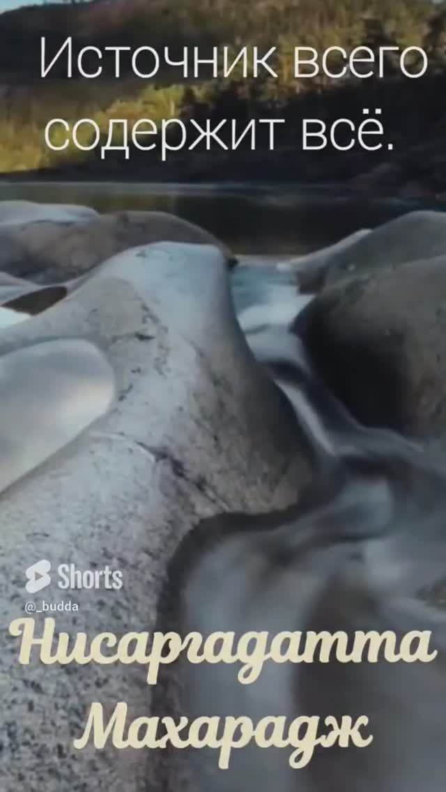 И как семя, содержит в себе опыт и обещание бесчисленных лесов... НИСАРГАДАТТА МАХАРАДЖ Просветление