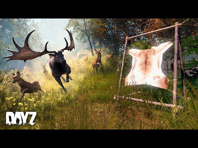 Дубление шкуры DayZ