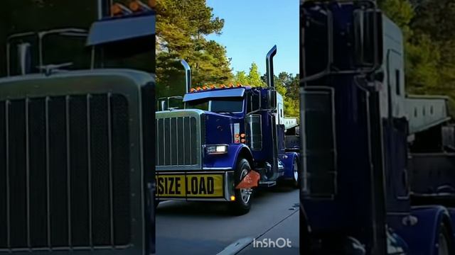 Трал 2024 ❤️🦾👿