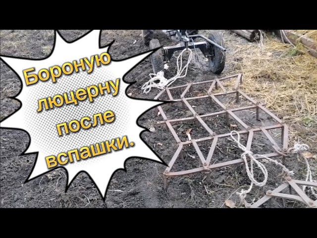Вспахал люцерну с мотоблоком, сейчас бороную вспаханную люцерну.