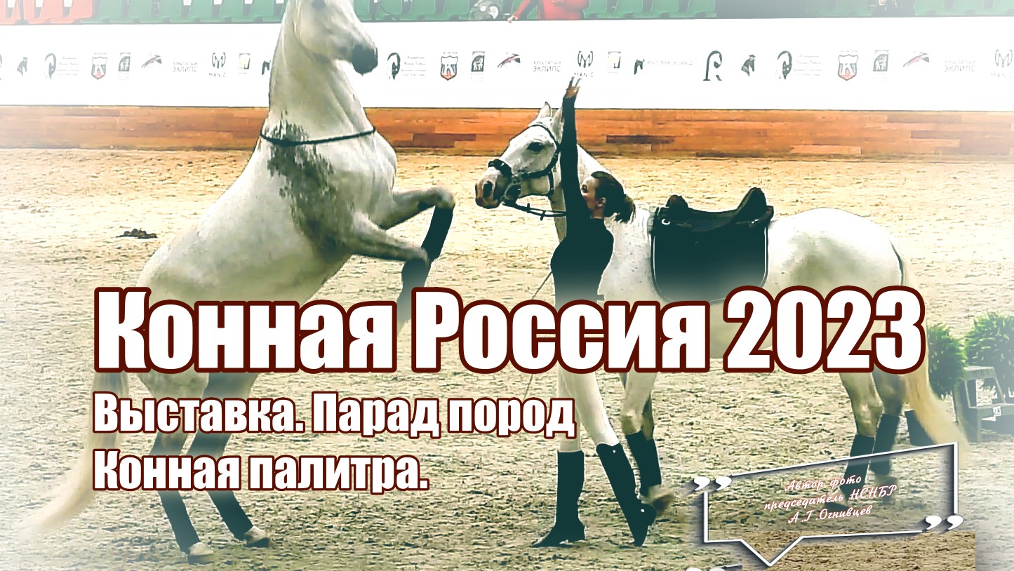 А.Г.Огнивцев: Конный спорт. 8-я Международная конная выставка Конная Россия. Октябрь 2023.