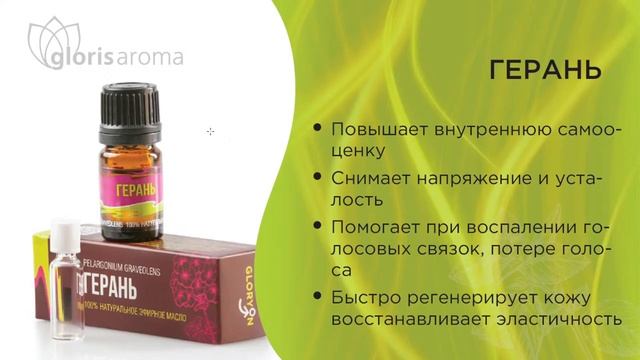 Ароматы осени НОЯБРЬ.