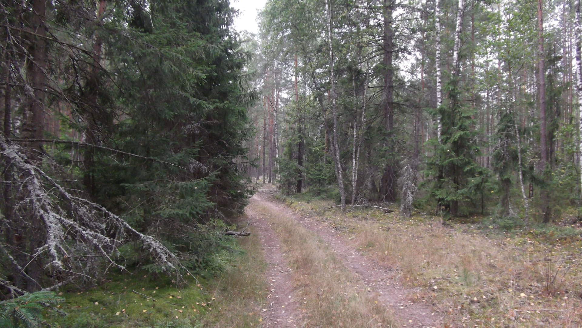 Велопутешествие по Беларуси. Часть 6-я