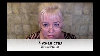 (Ютуб 2020г.) Чужая стая