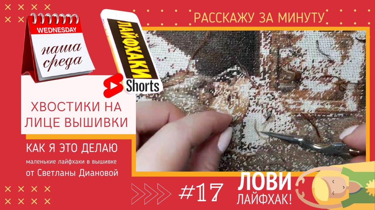 НАША СРЕДА (17) ХВОСТИКИ НА ЛИЦЕ ВЫШИВКИ