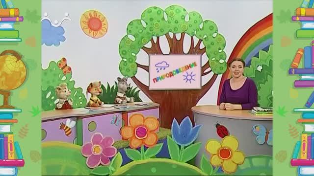 Школа Шишкиного Леса. Природоведение. Полярные растения