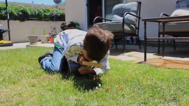 О научной грамотности