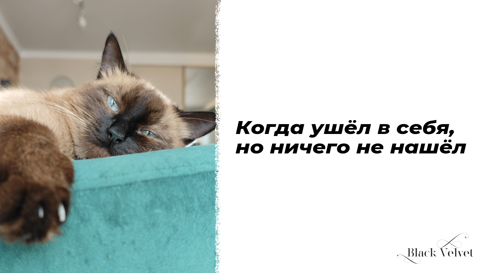 Когда ушёл в себя, но ничего не нашёл ?