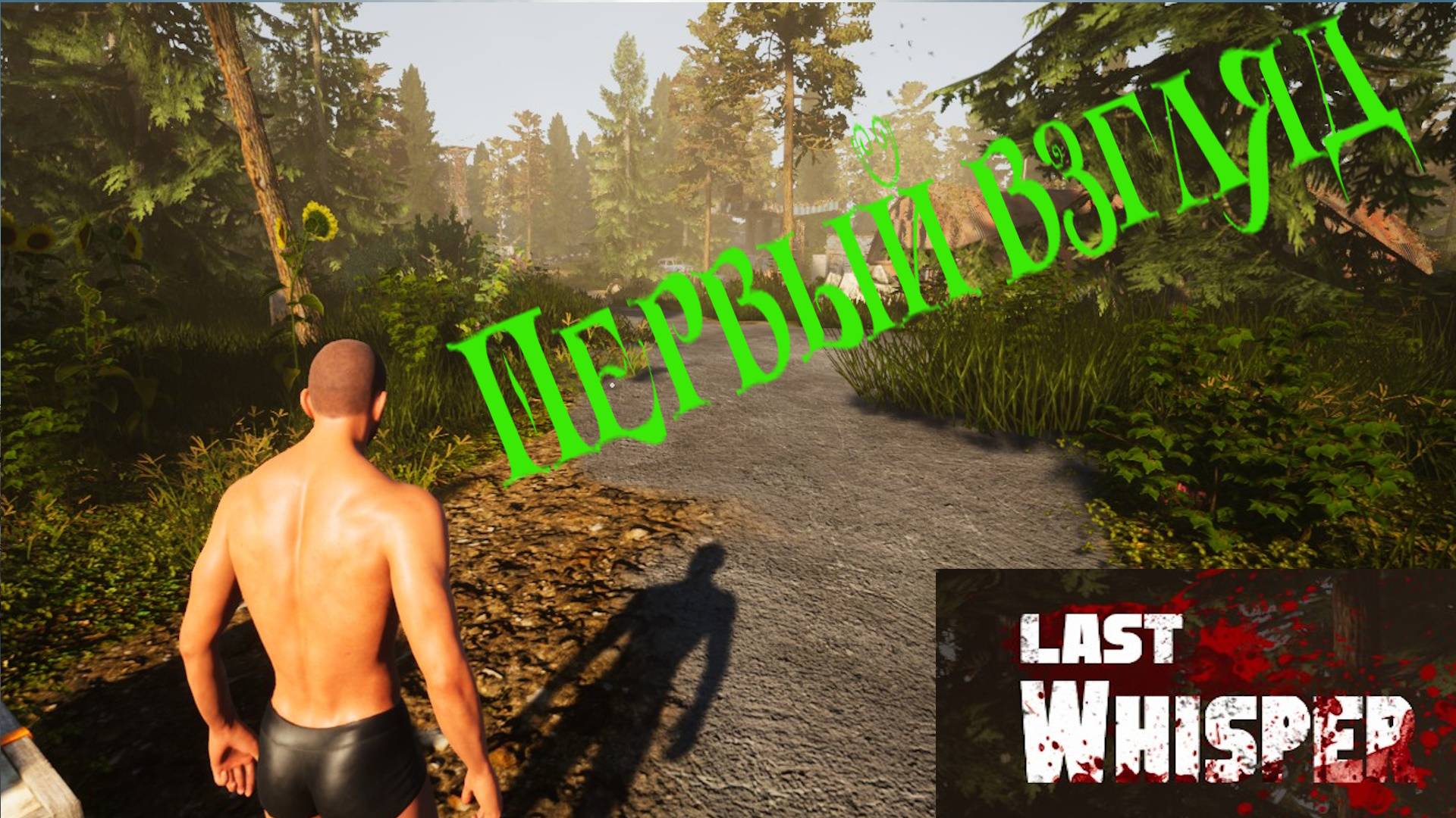 Last Whisper. Первый взгляд. Что-то пошло не так.