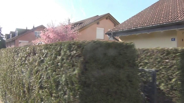 Герольдсвил