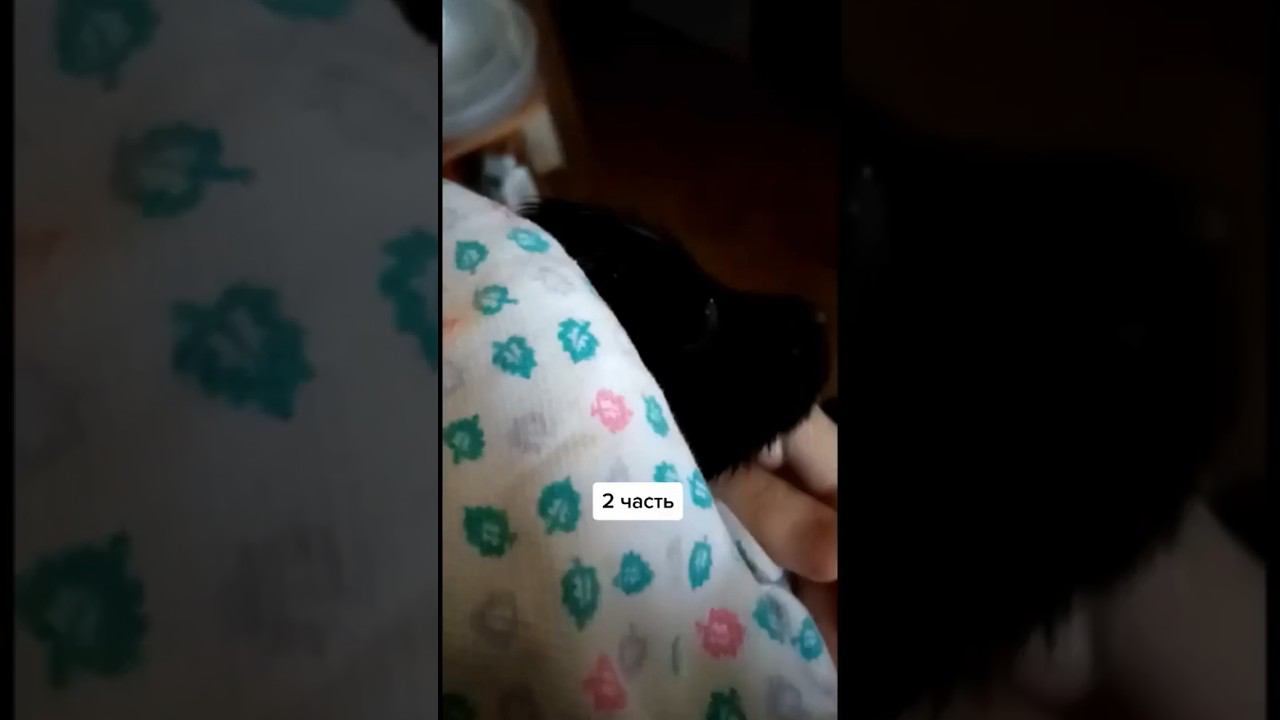 История Айки Часть 2