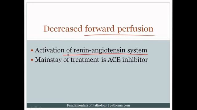 Pathoma USMLE - VIII ГЛАВА - Застойная сердечная Недостаточность